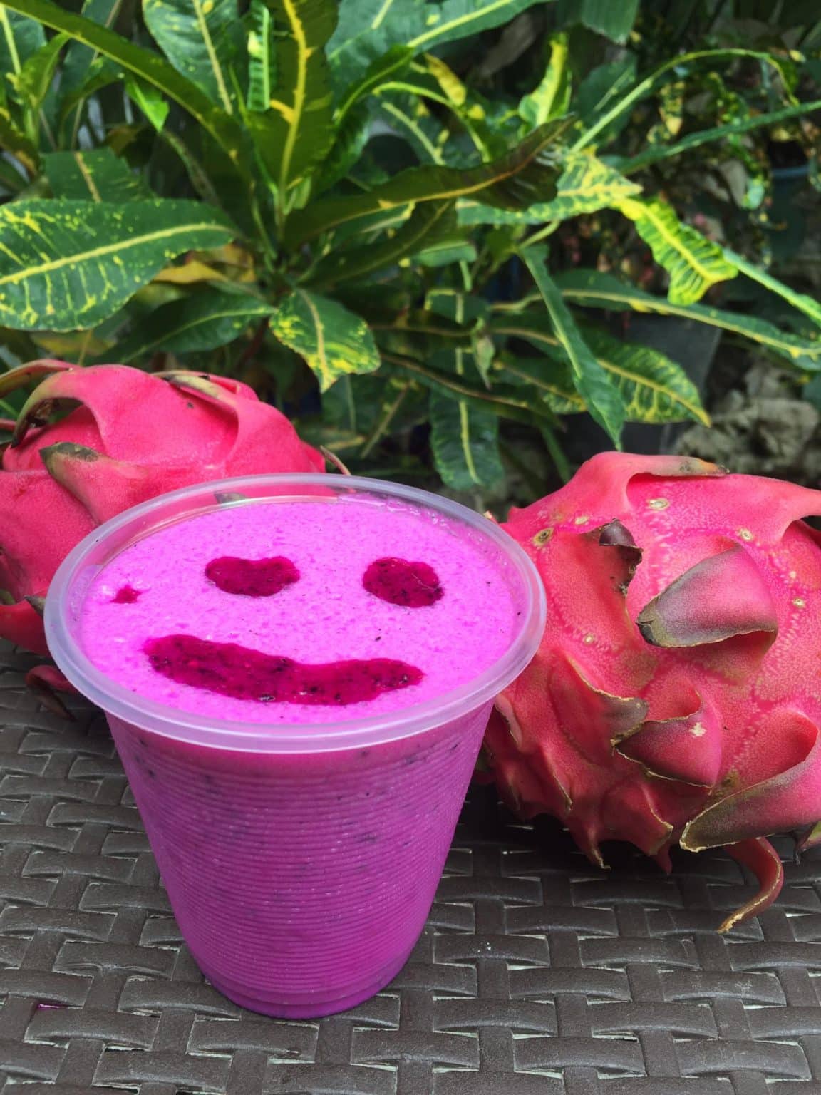 dragon fruit shake - GKG Farm Cebu PH