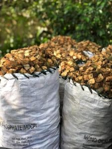 Coco Chop - GKG Farm Cebu PH